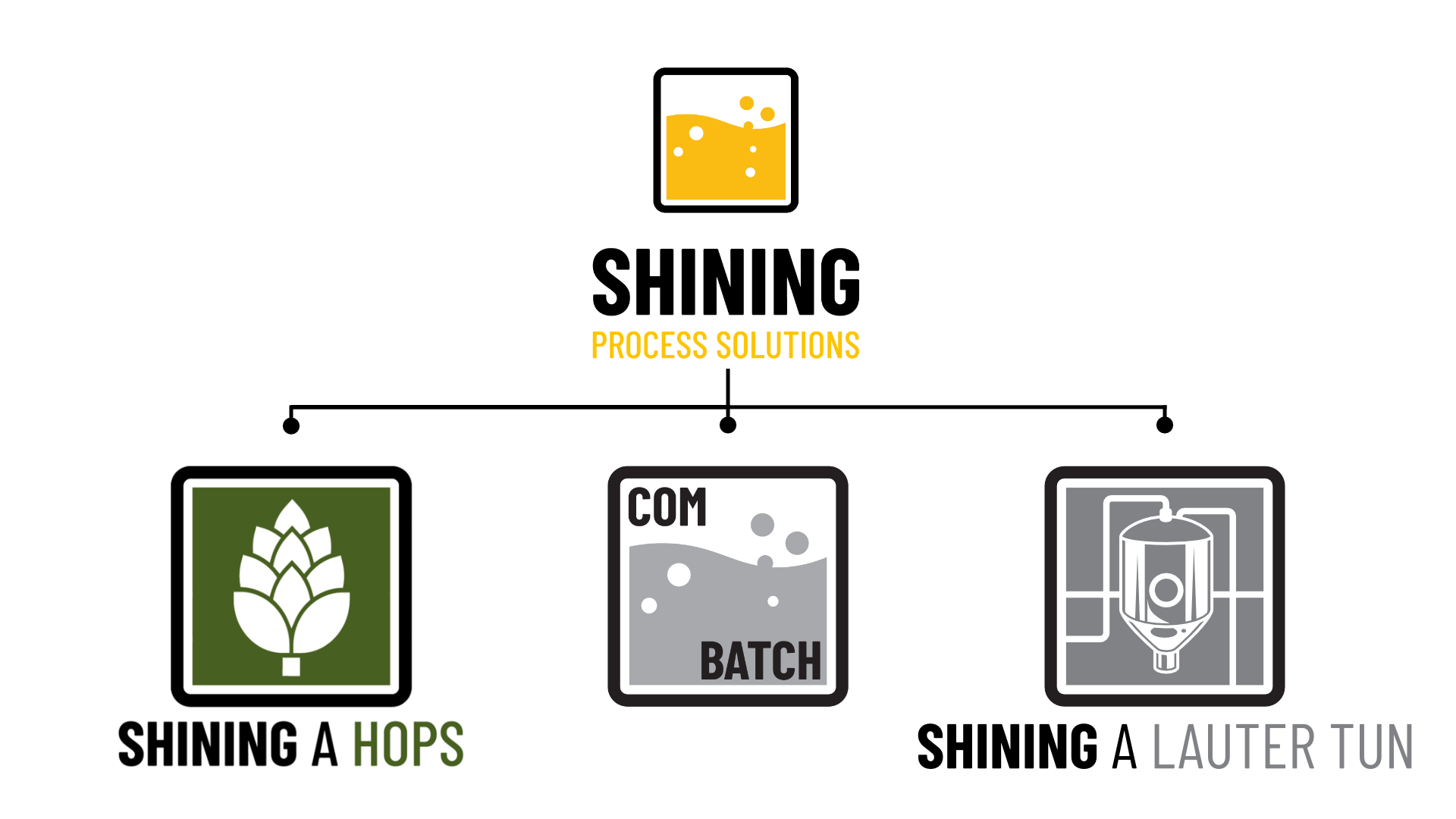 Shining Process Solutions - Shining Process Solutions