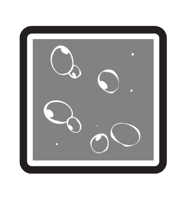 shining a yeast - Shining Process Solutions