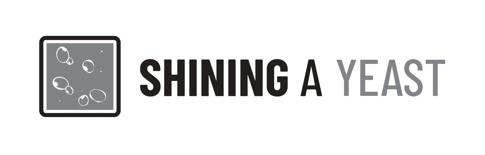 shining a yeast - Shining Process Solutions